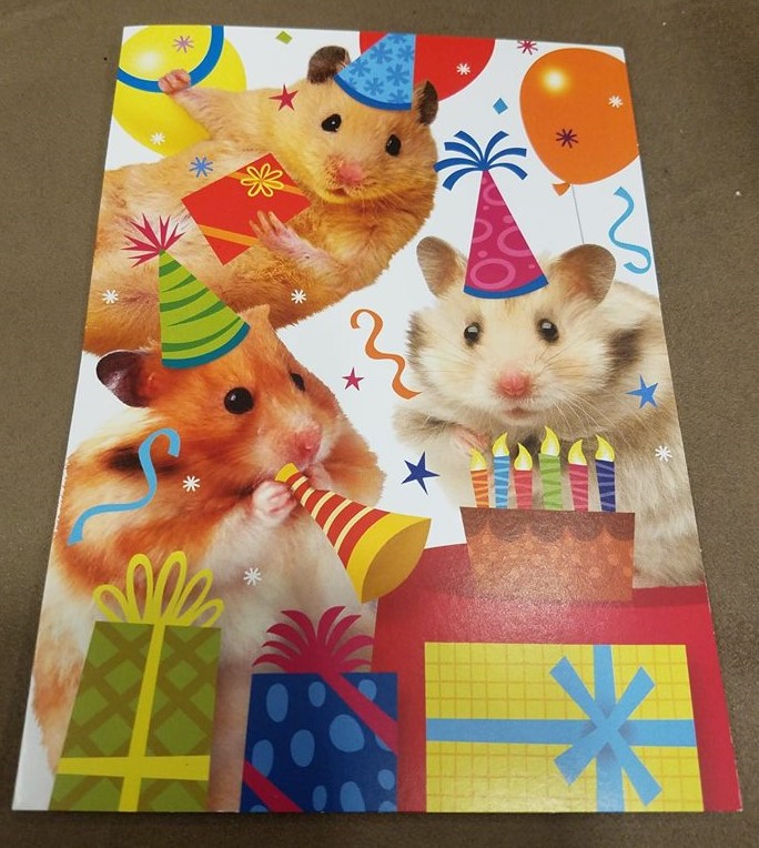 Hamster Party Birthday Card - Raff and Friends